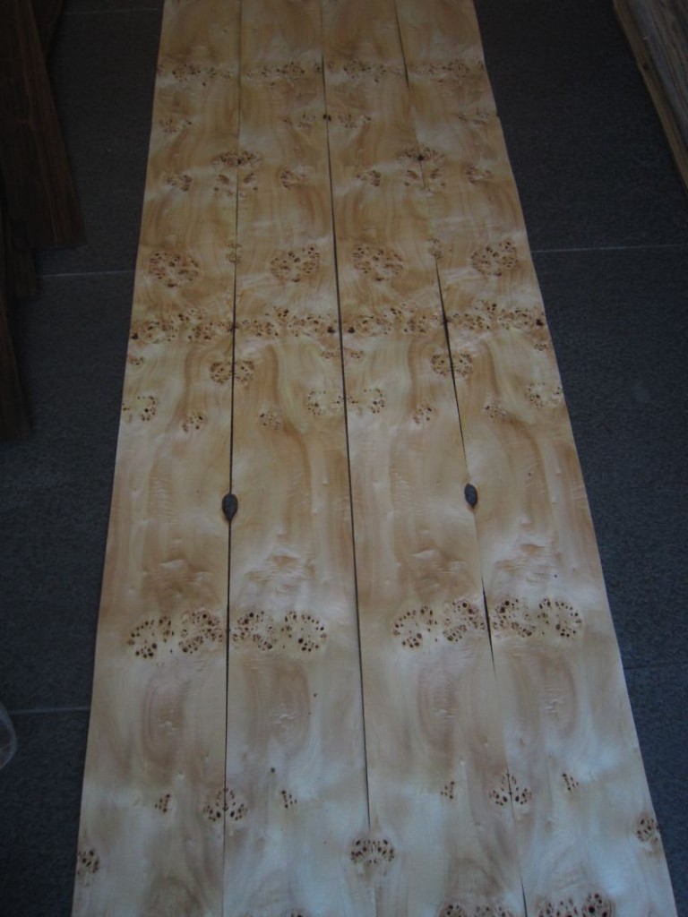 Populier Wortel 153x14cm – Hout-Fineer.nl