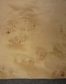 Populier Wortel 153x14cm – Hout-Fineer.nl