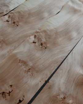 Populier Wortel 14x153cm – Hout-Fineer.nl